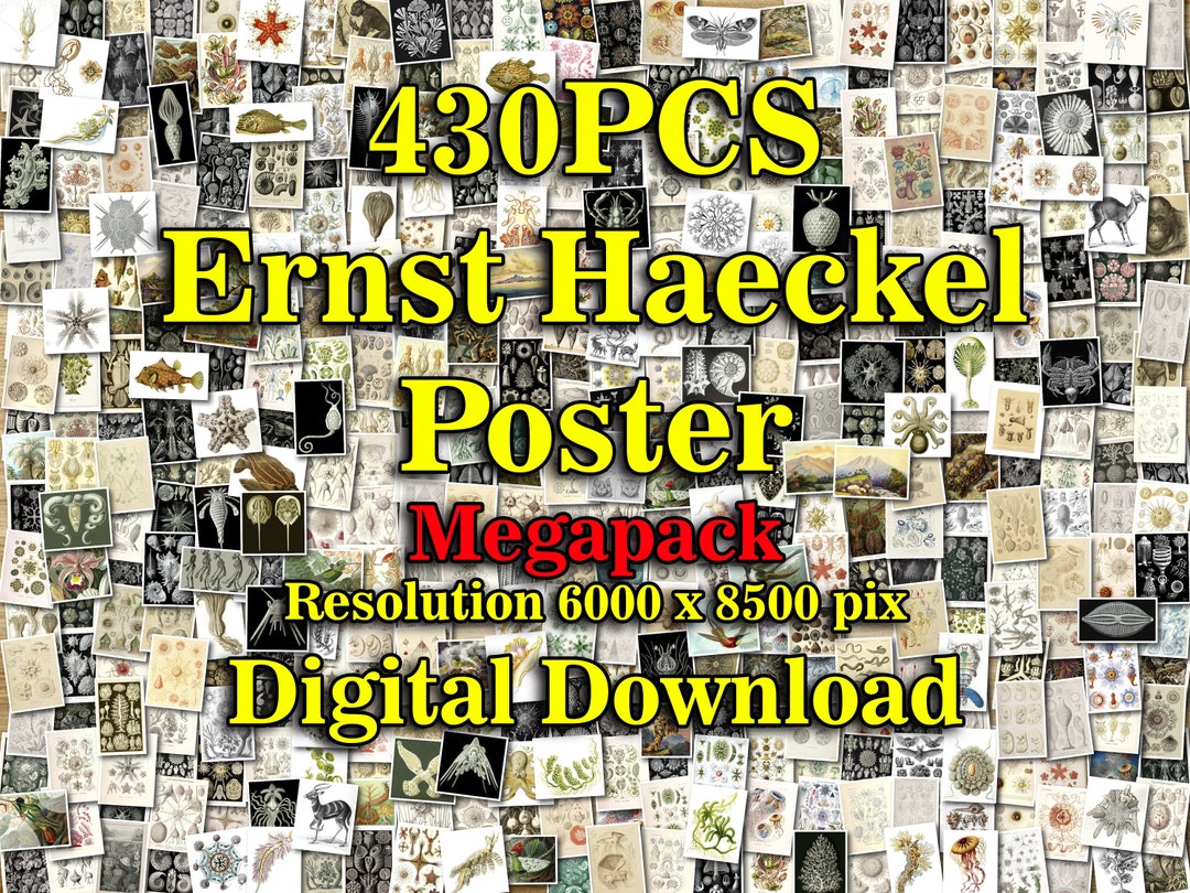 Ernst Haeckel Print, Jellyfish Sublimation, Jellyfish Print, Microalgae ...