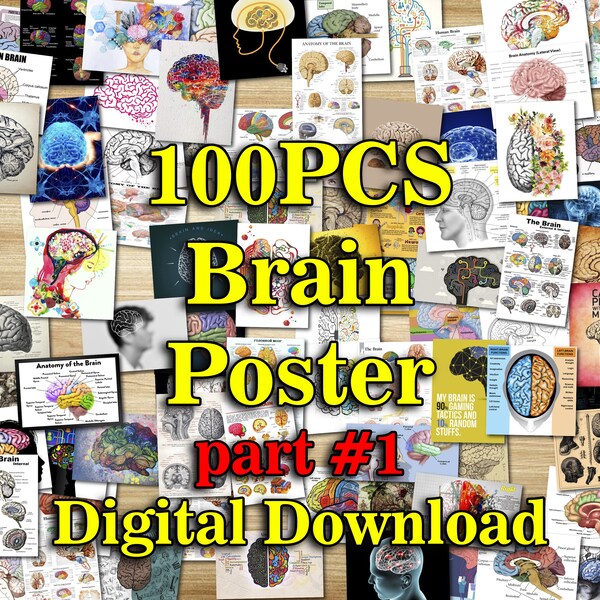 Brain Anatomy, Brain Poster, Human Brain, Medical Poster, Brain Anatomy ...