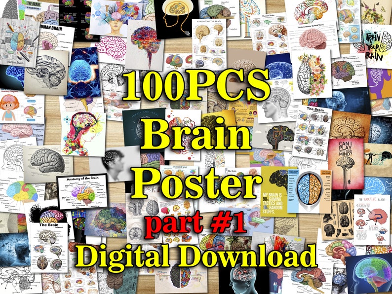 Brain Anatomy, Brain Poster, Human Brain, Medical Poster, Brain Anatomy ...