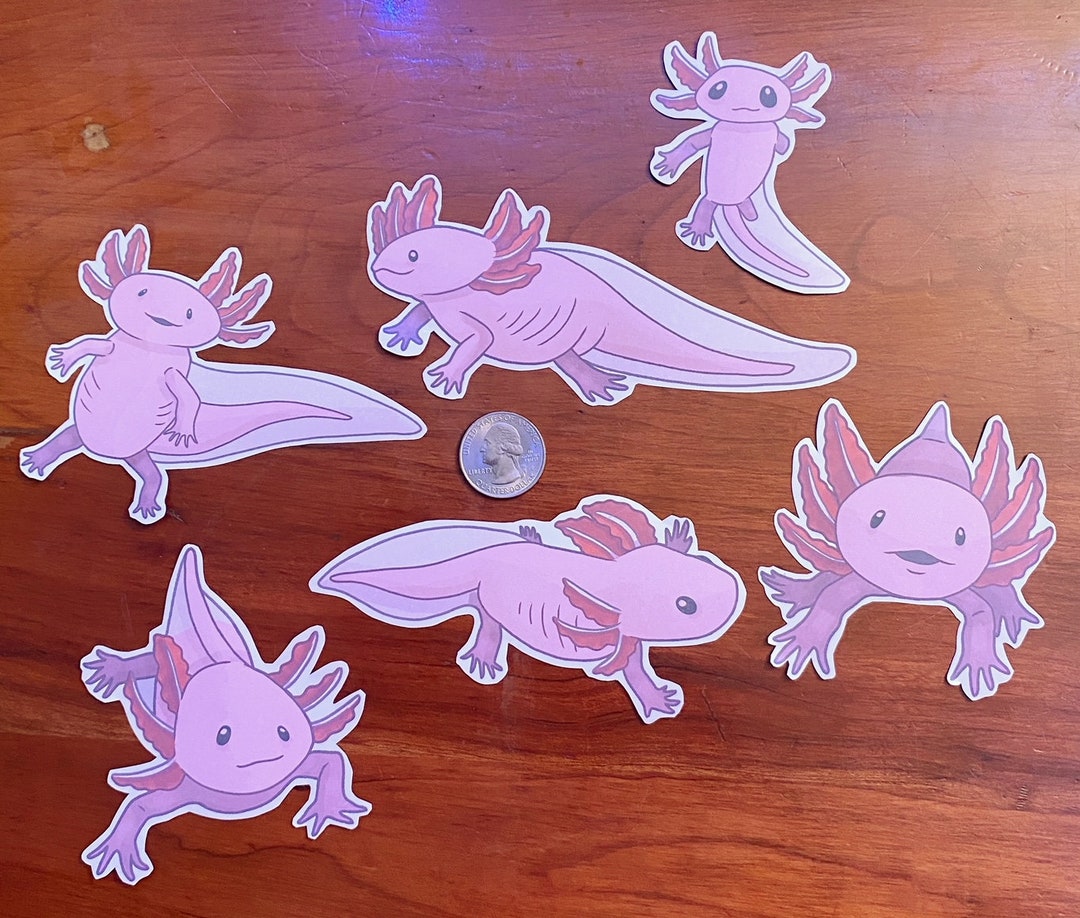 Small Axolotl Sticker Set - Etsy