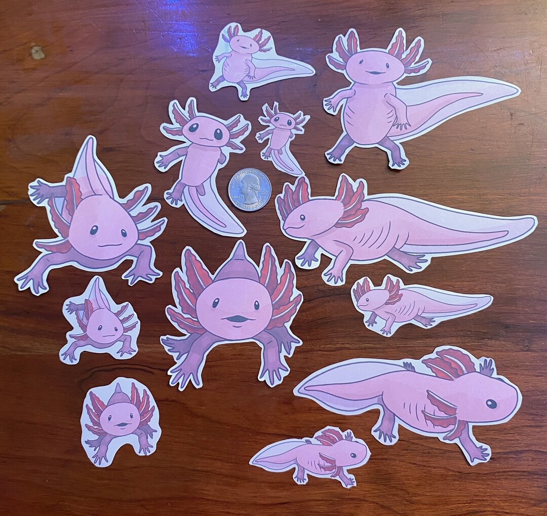 Axolotl Sticker Set - Etsy