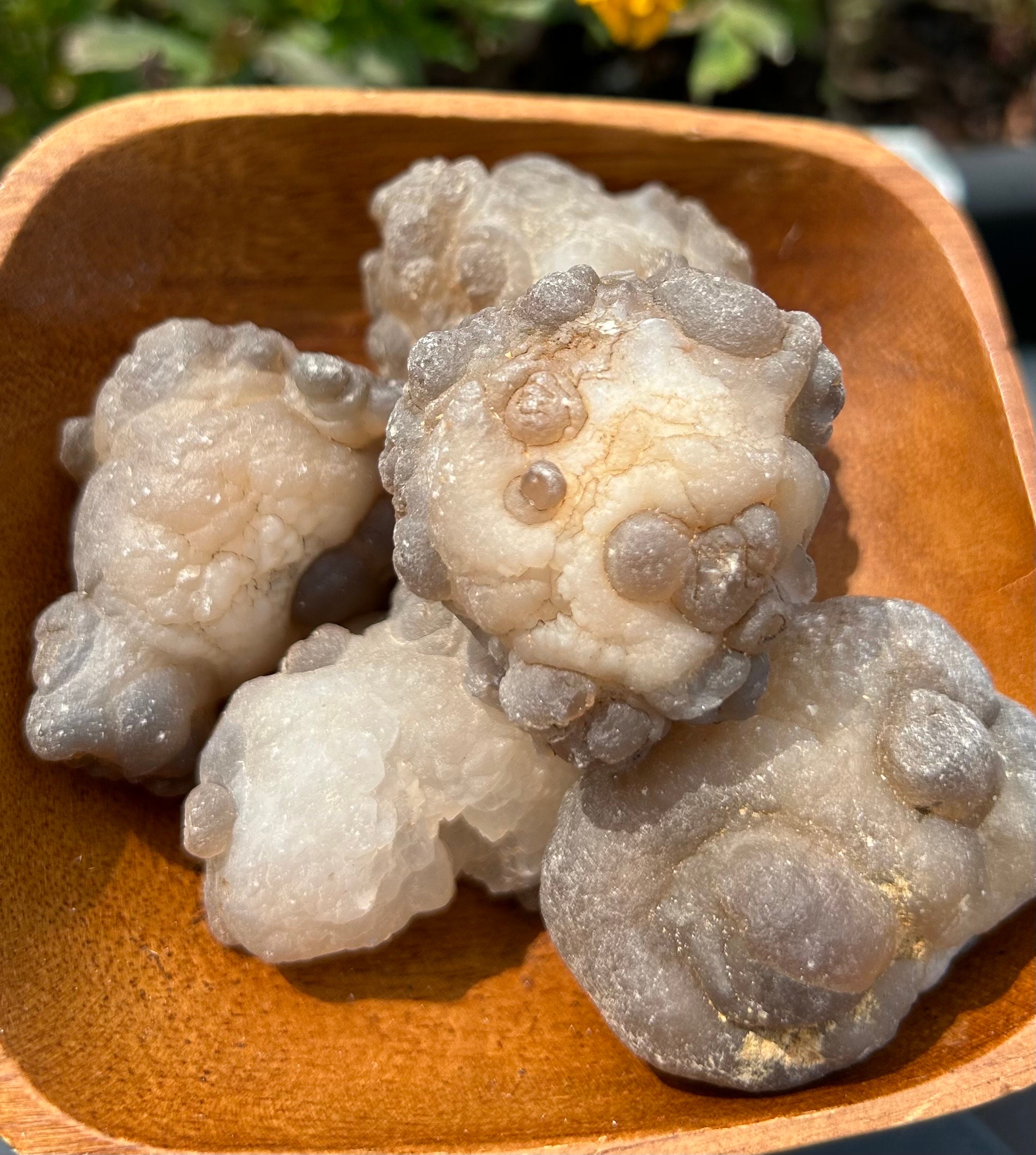 Panda Agate Gobi Truffle Chalcedony Natural Raw Stone Specimen Aka ...
