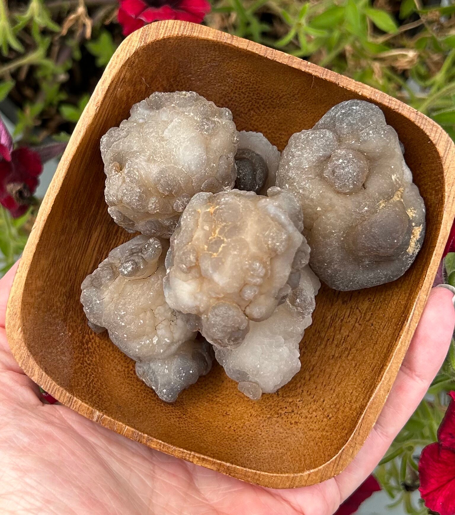 Panda Agate Gobi Truffle Chalcedony Natural Raw Stone Specimen Aka ...