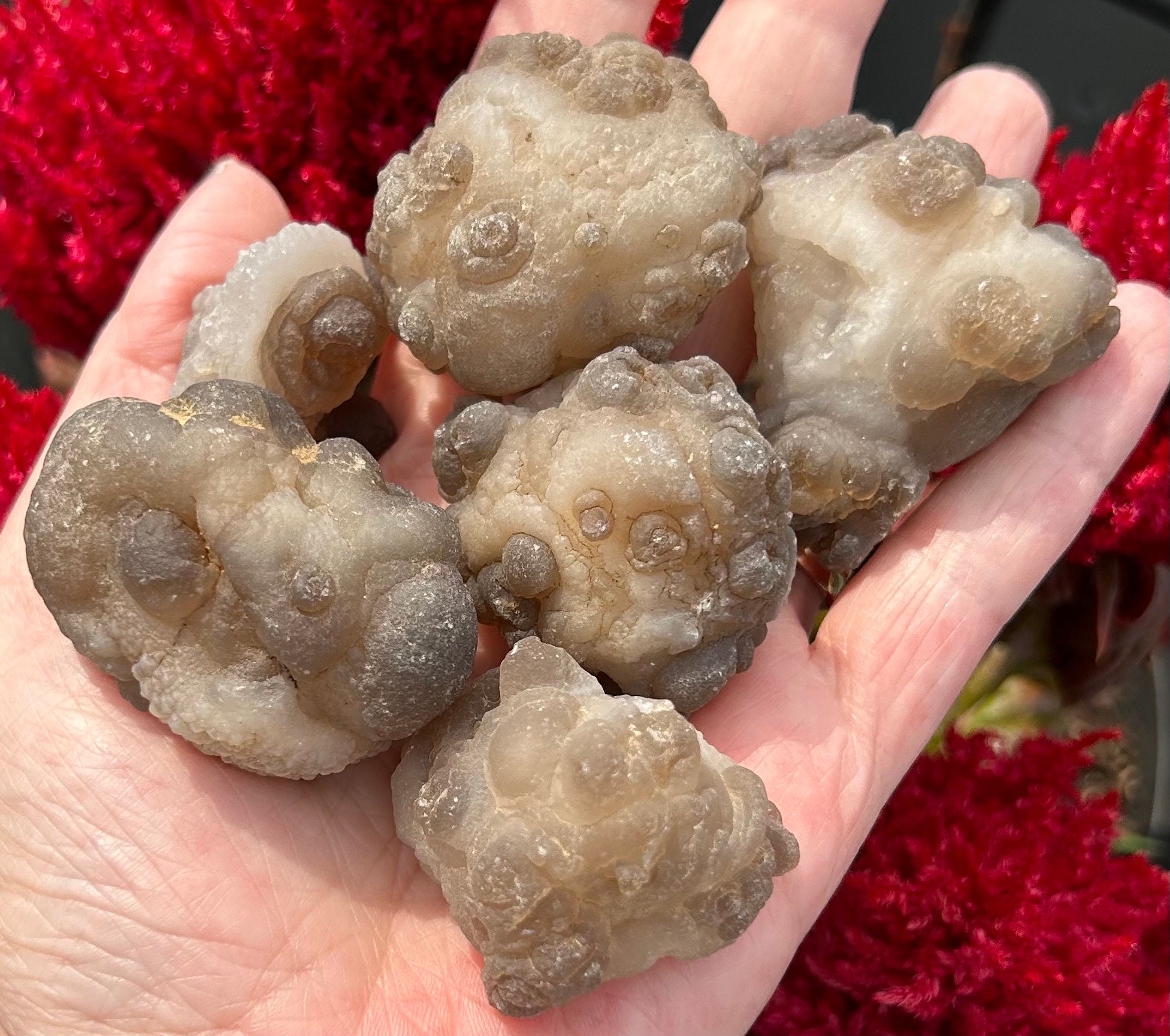 Panda Agate Gobi Truffle Chalcedony Natural Raw Stone Specimen Aka ...