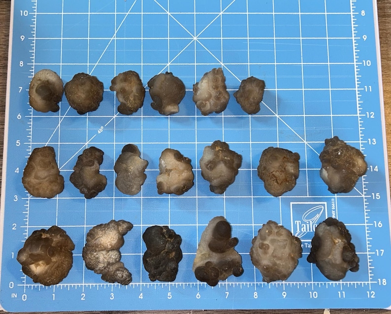 Panda Agate Gobi Truffle Chalcedony Natural Raw Stone Specimen Aka ...