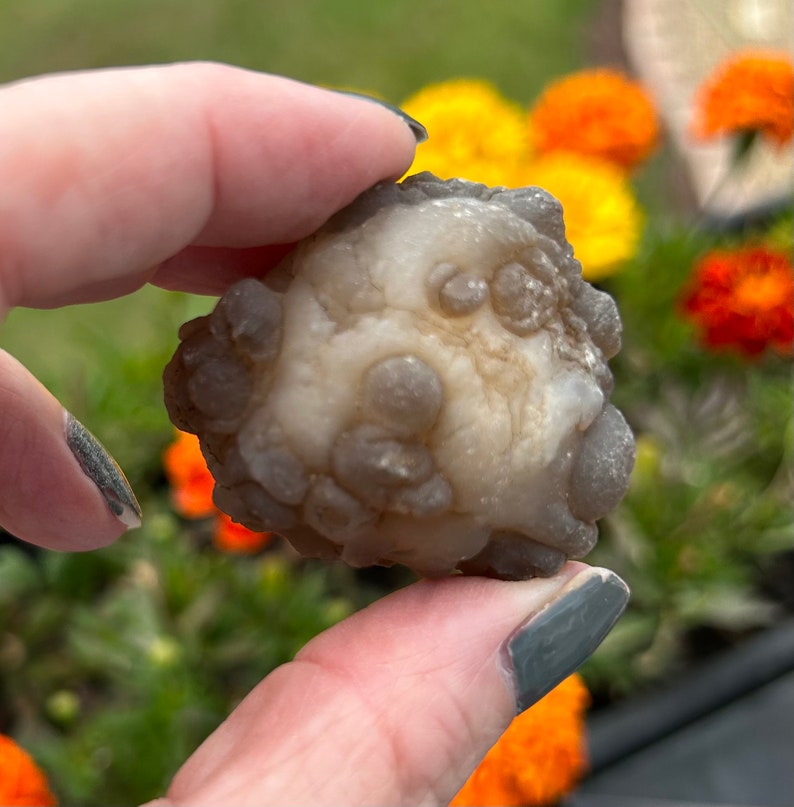Truffle Chalcedony Panda Agate Stone Natural Specimen Witches Wort Warts Metaphysical Womb Stone ...