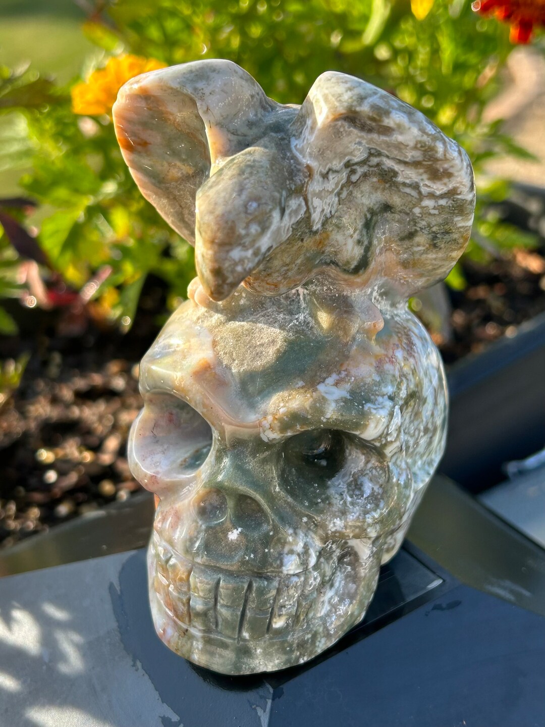 Ocean Sea Jasper Skull With Raven Bird Wings Flying Crystal Carving ...