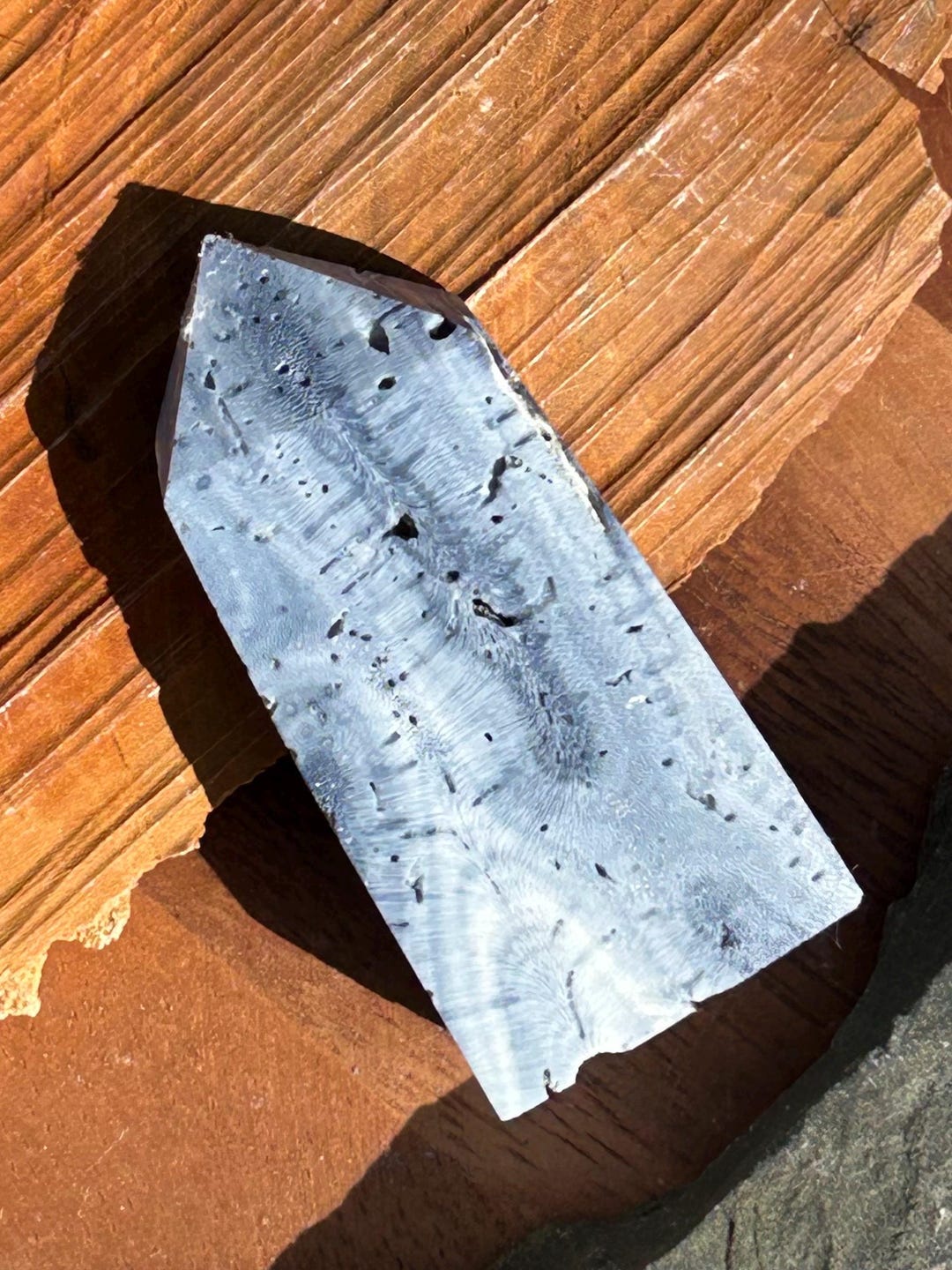 Blue Coral Fossil Tower Ocean Marine Sea Life - Etsy