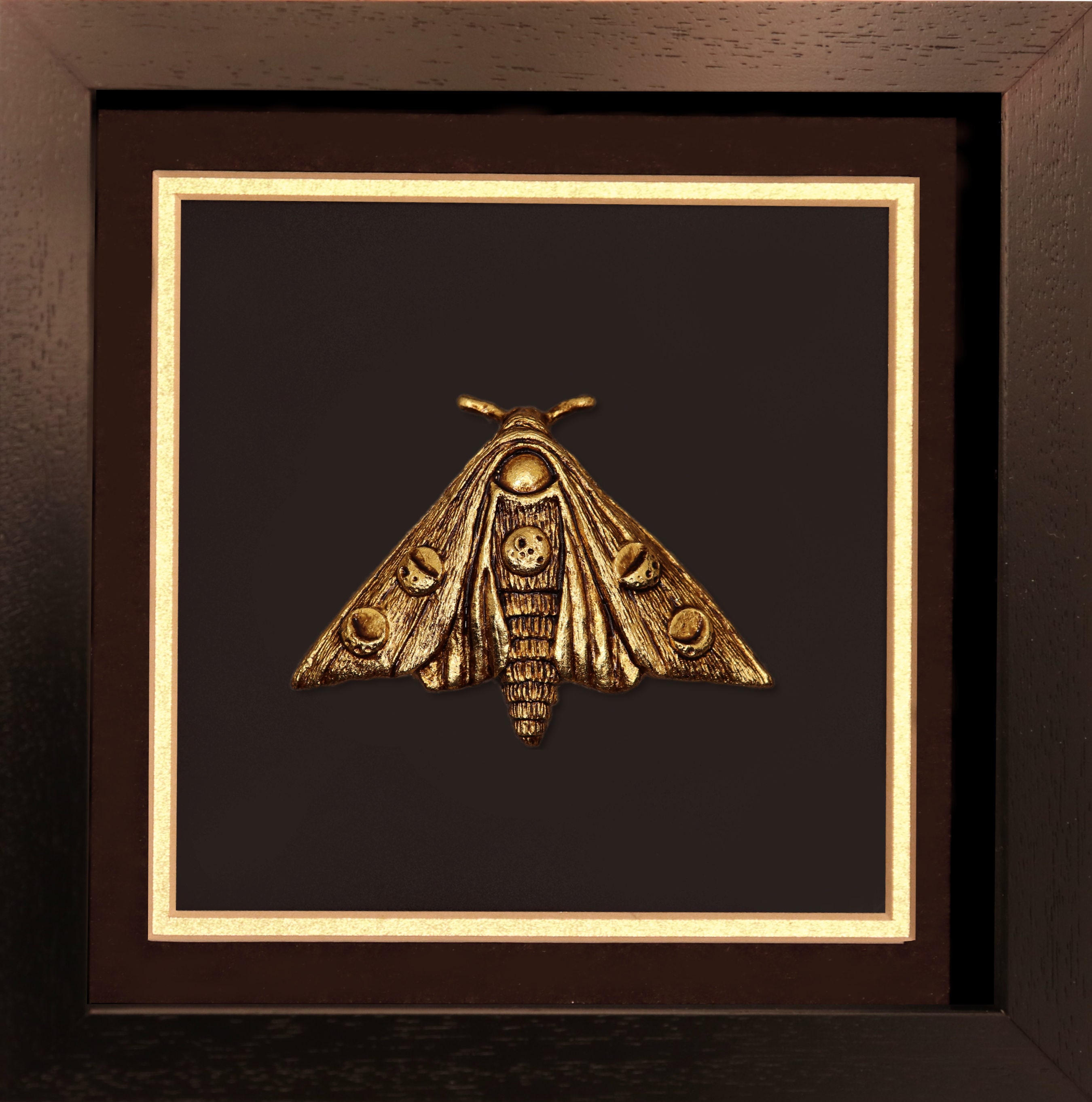 Luna Moth Wall Art Gothic Framed Goth Home Witch D\u00e9cor Moth On The ...