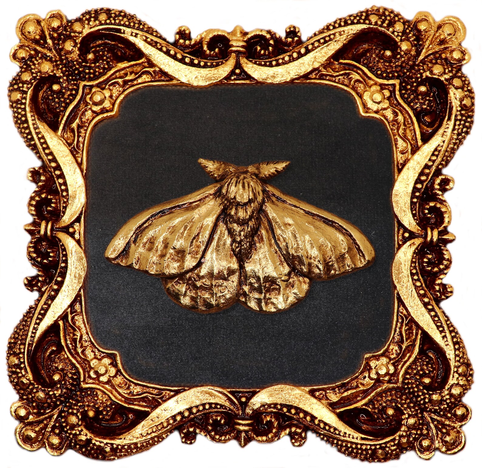 Emperor Moth Art Gothic Framed Goth Witch Décor Moth on the - Etsy