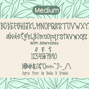 Kyrie Font, Funky Serif Font, Hand Drawn, Handwritten Font, Cute ...