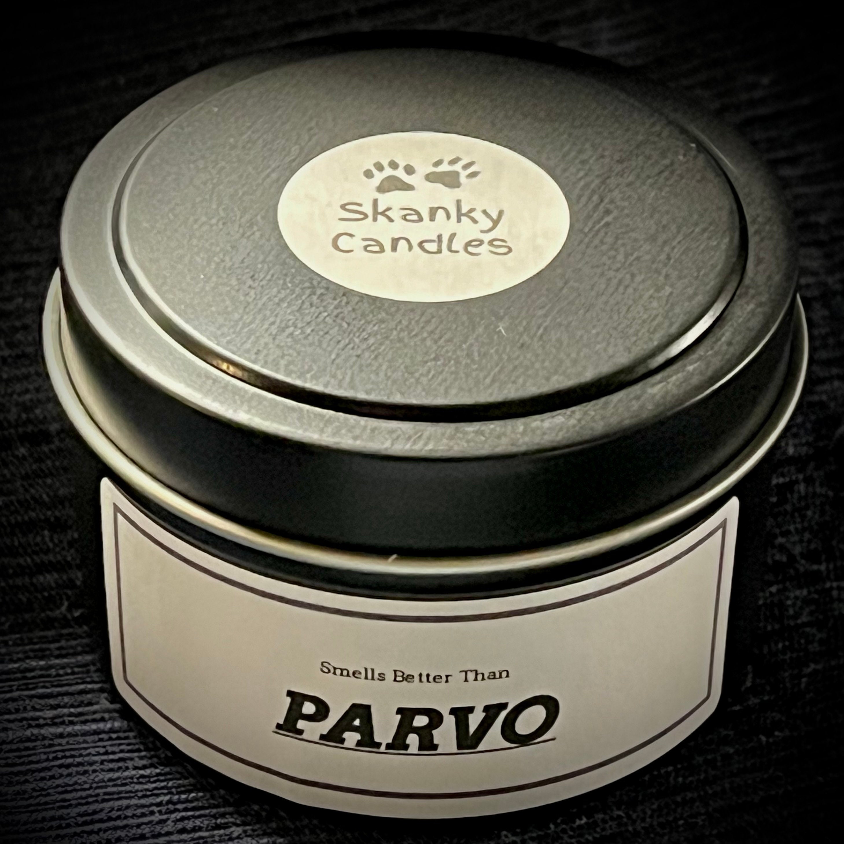 Skanky Candle Veterinary Collection smells Better Than GROSS VETERINARY ...
