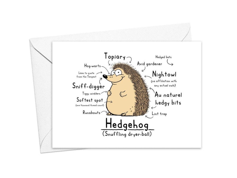 Funny Hedgehog Greeting Card - Etsy