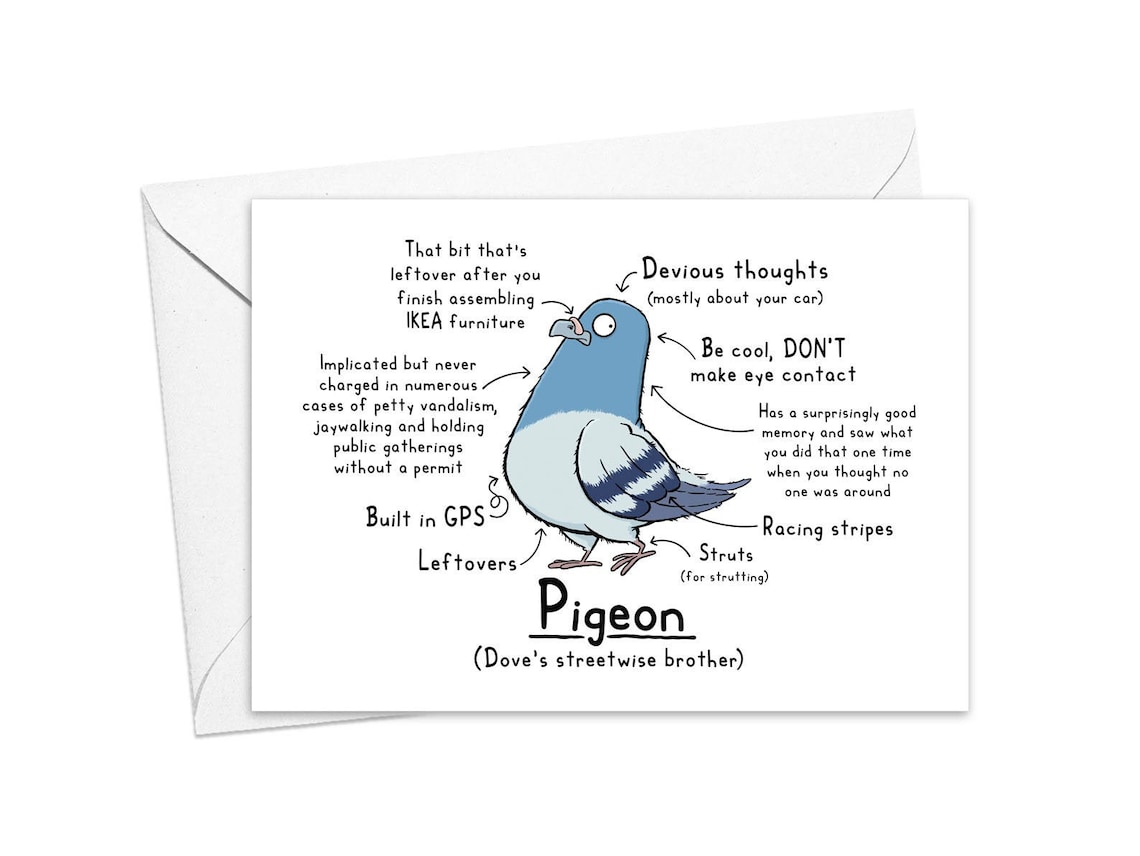 Funny Pigeon Greeting Card - Etsy