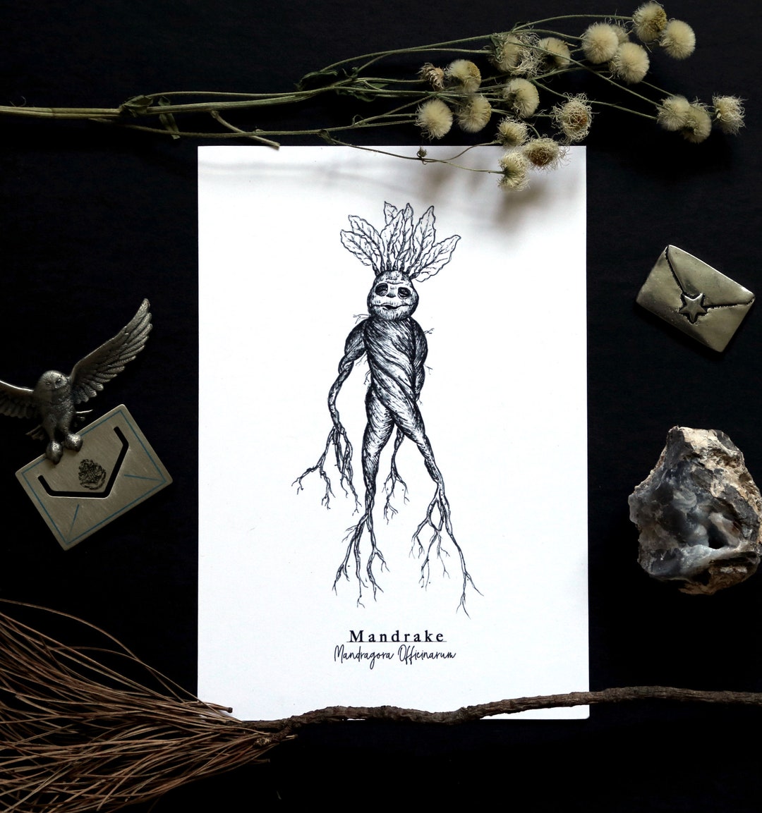 Mandrake Art Print, Plant Botanical Art, Folklore Magical Magick ...