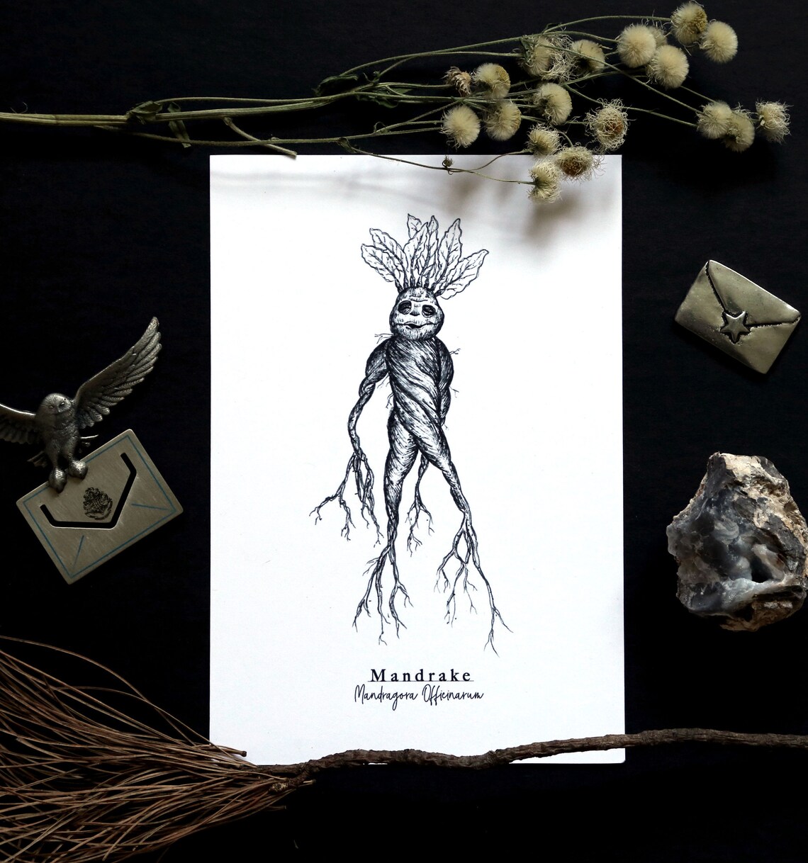 Mandrake Art Print, Plant Botanical Art, Folklore Magical Magick ...