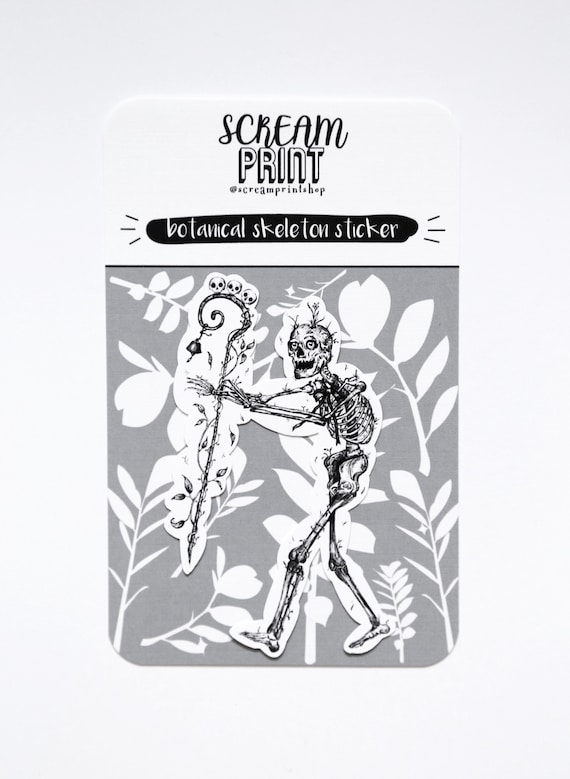 Botanical Skeleton Sticker Skeleton Art Skull Anatomy - Etsy