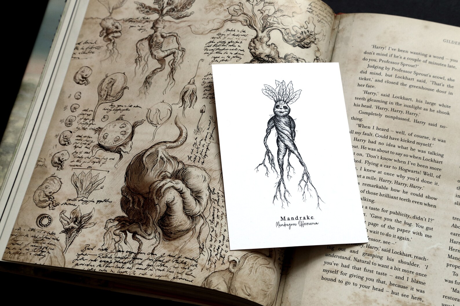 Mandrake Art Print, Plant Botanical Art, Folklore Magical Magick ...