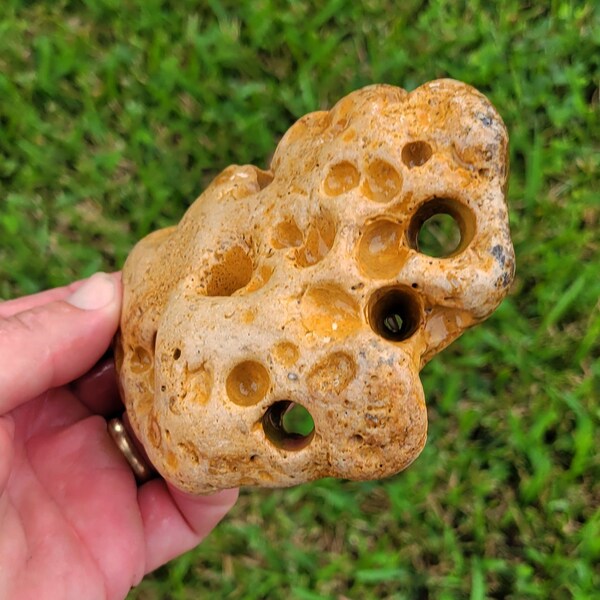 Holey Stone - Etsy