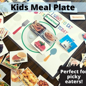 Kids Daily Meal & Snack Planner Plate | Picky Eater Plate - Etsy