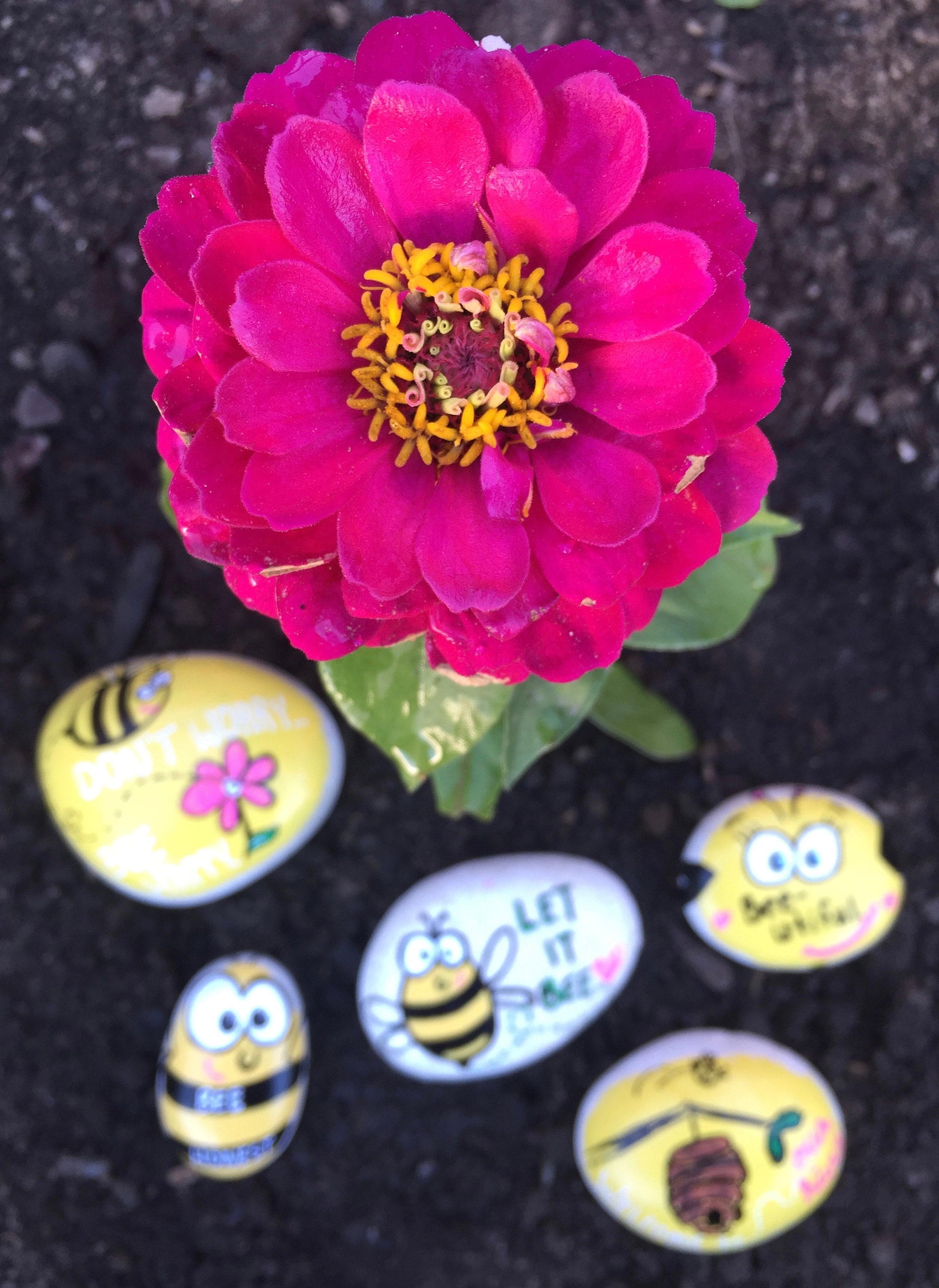Bee Story Stones Garden Decor Bee Theme Rocks - Etsy