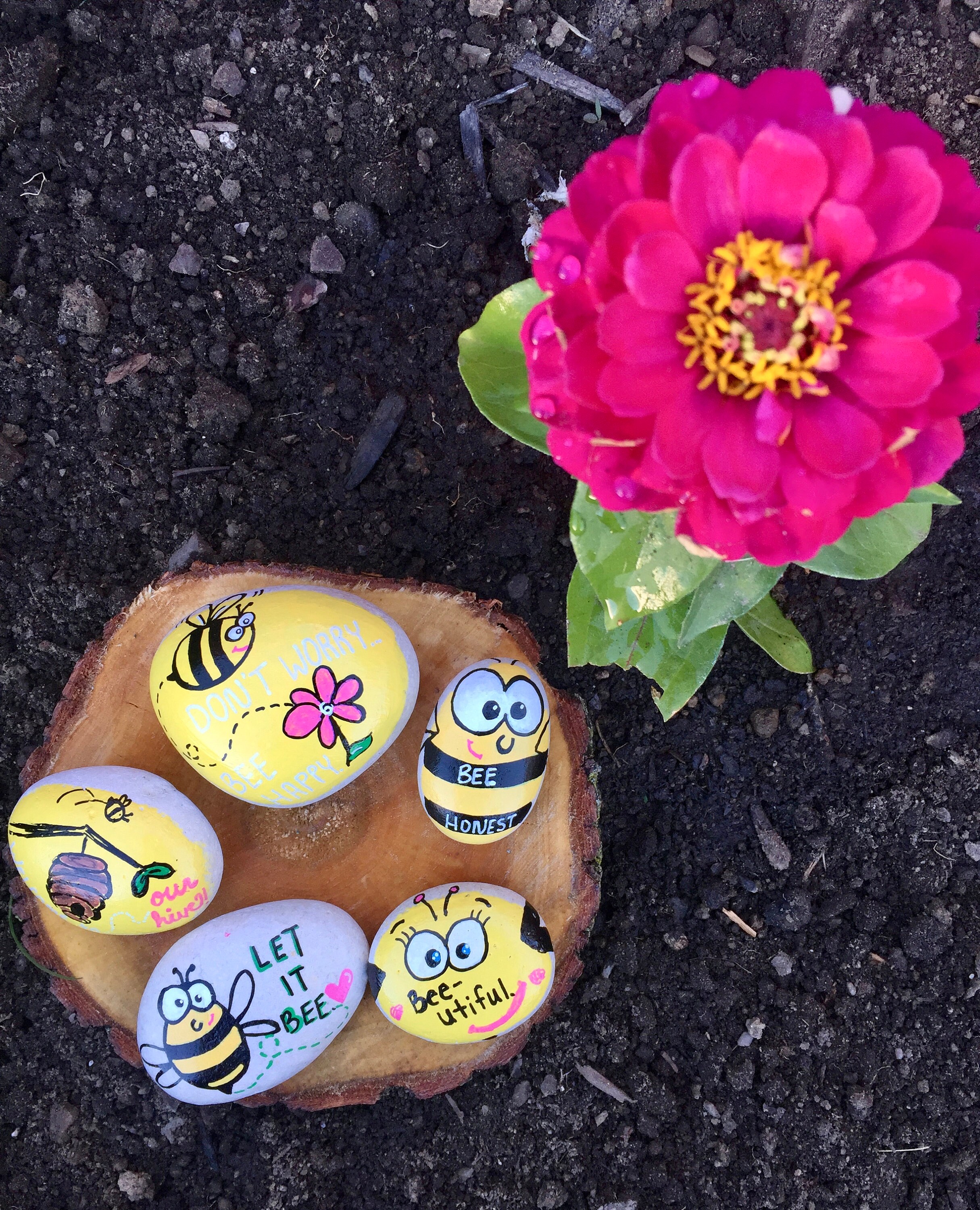 Bee Story Stones Garden Decor Bee Theme Rocks - Etsy