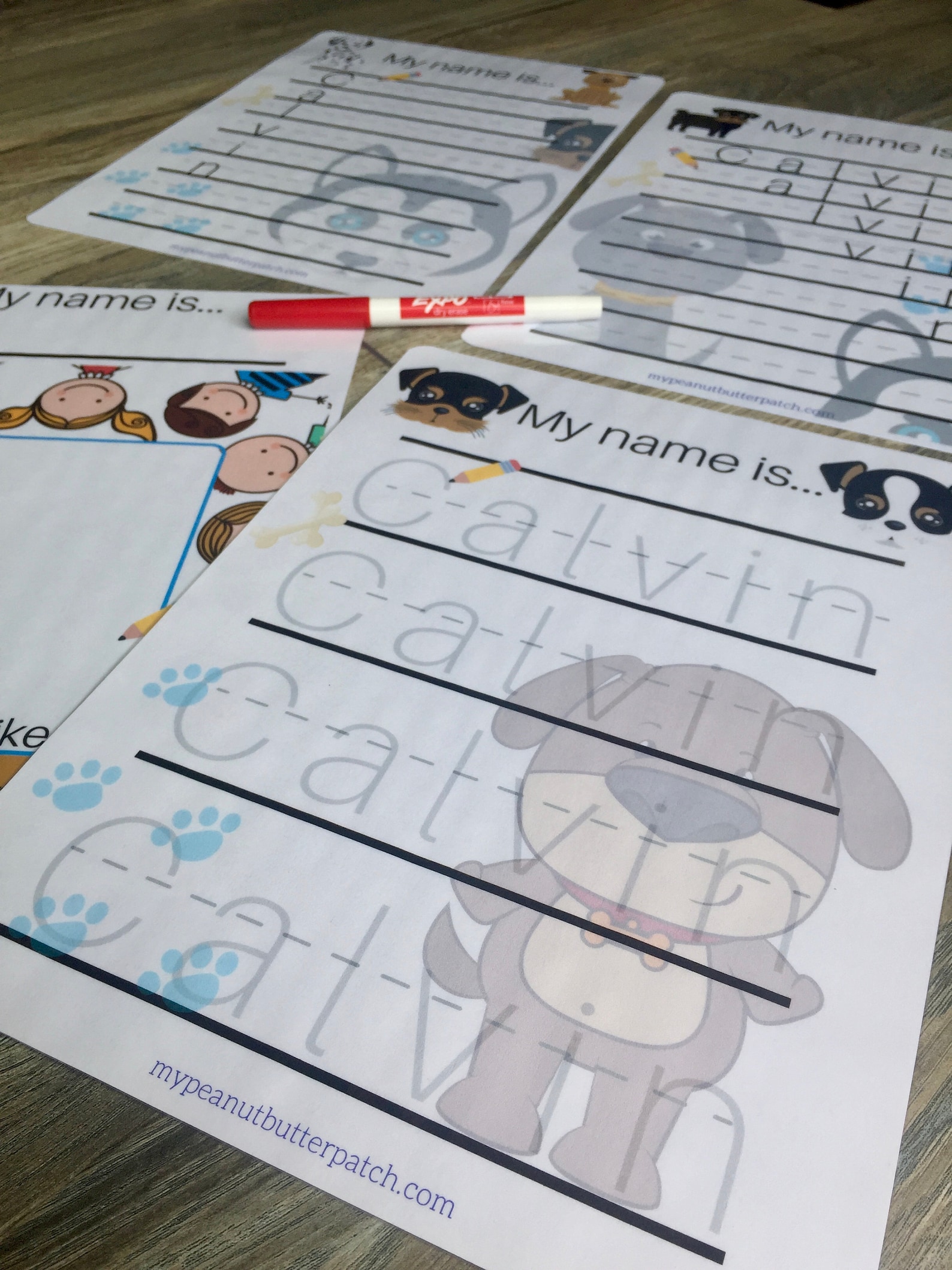 Dry Erase Learn to Write My Name Practice Worksheets, Puppy Theme - Etsy