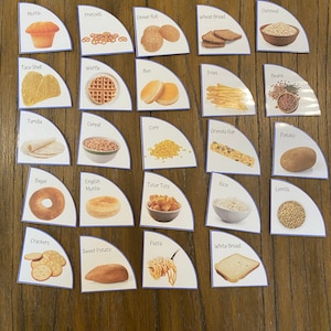 Kids Healthy Meal Plate | Learn My Food Groups - Etsy