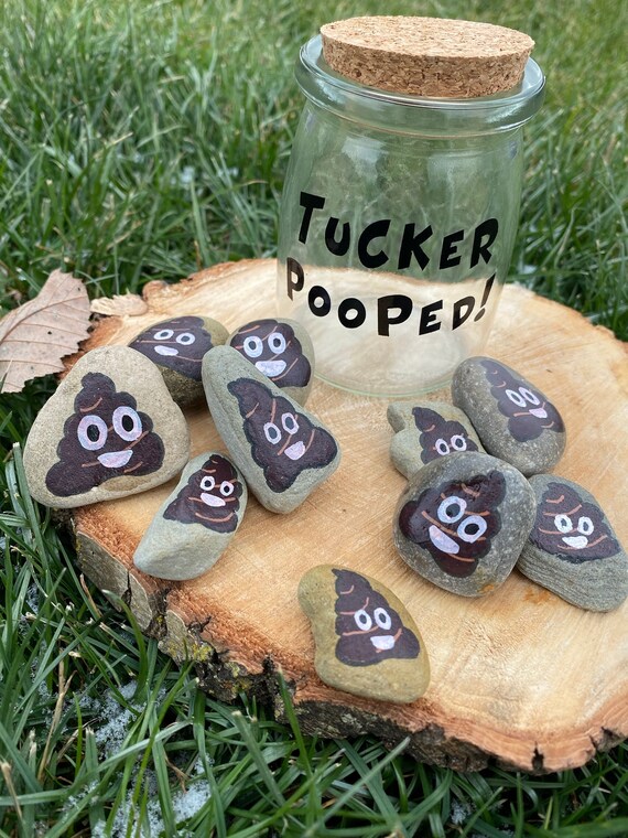 I Pooped in the Potty Jar Potty Training Toddlers | Etsy