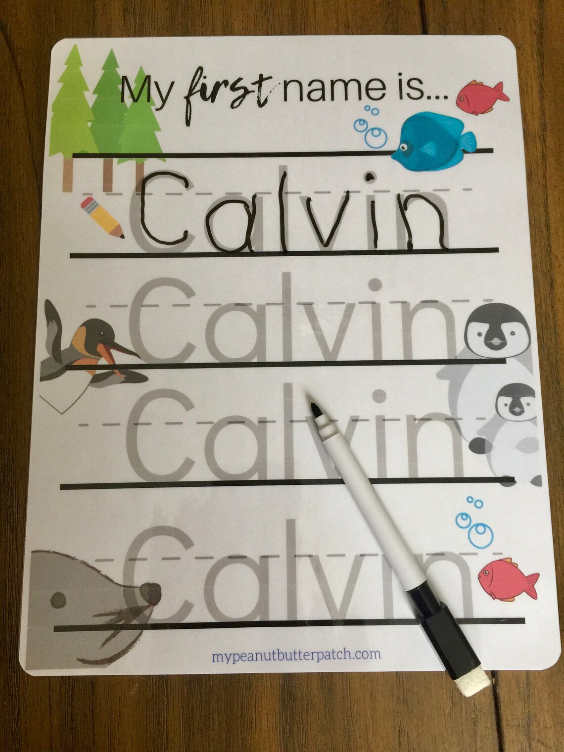 Dry Erase Learn to Write My FIRST & LAST Name Practice | Etsy