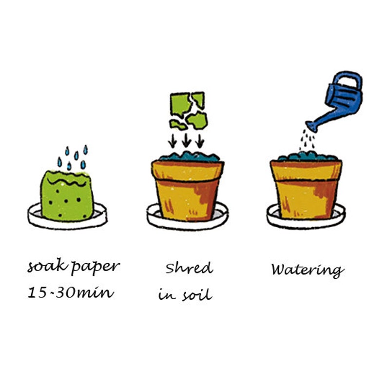 Set 8 Plantable Seed Greeting Cards With Envelopes Variety Pack Eco ...