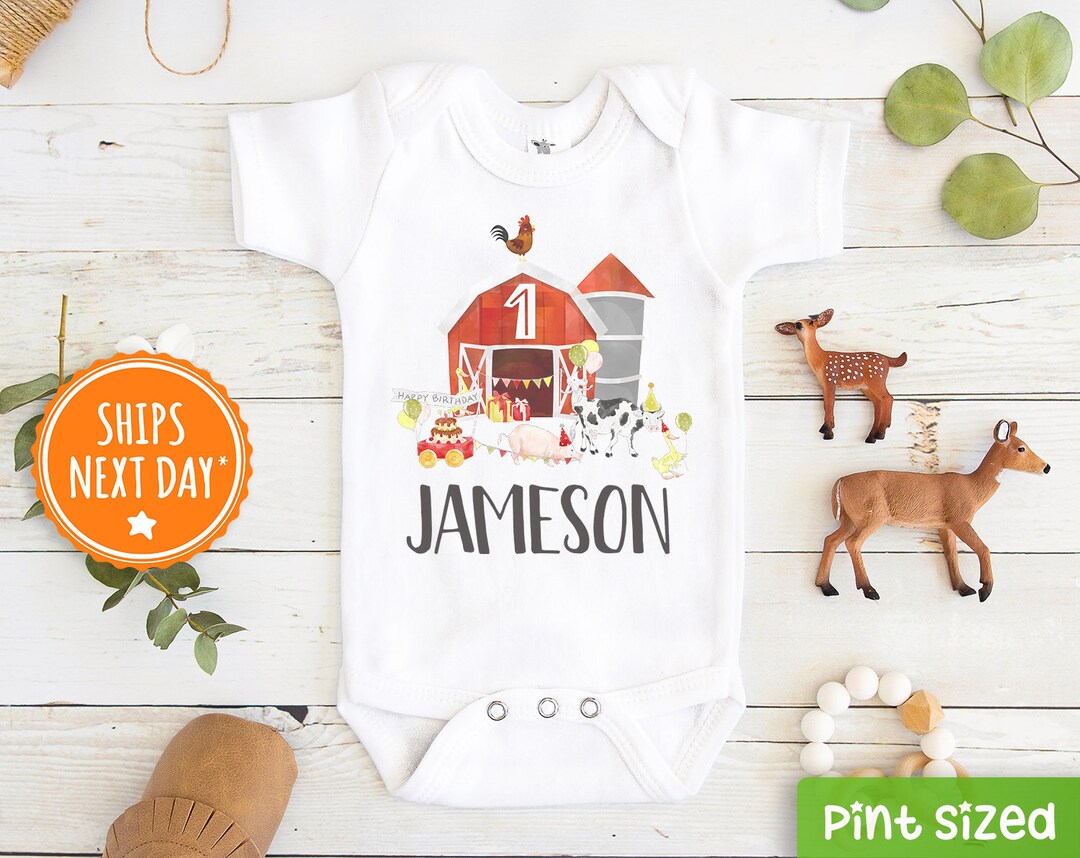 First Birthday Farm Onesie® Personalized One Barn Animals Birthday Boy ...