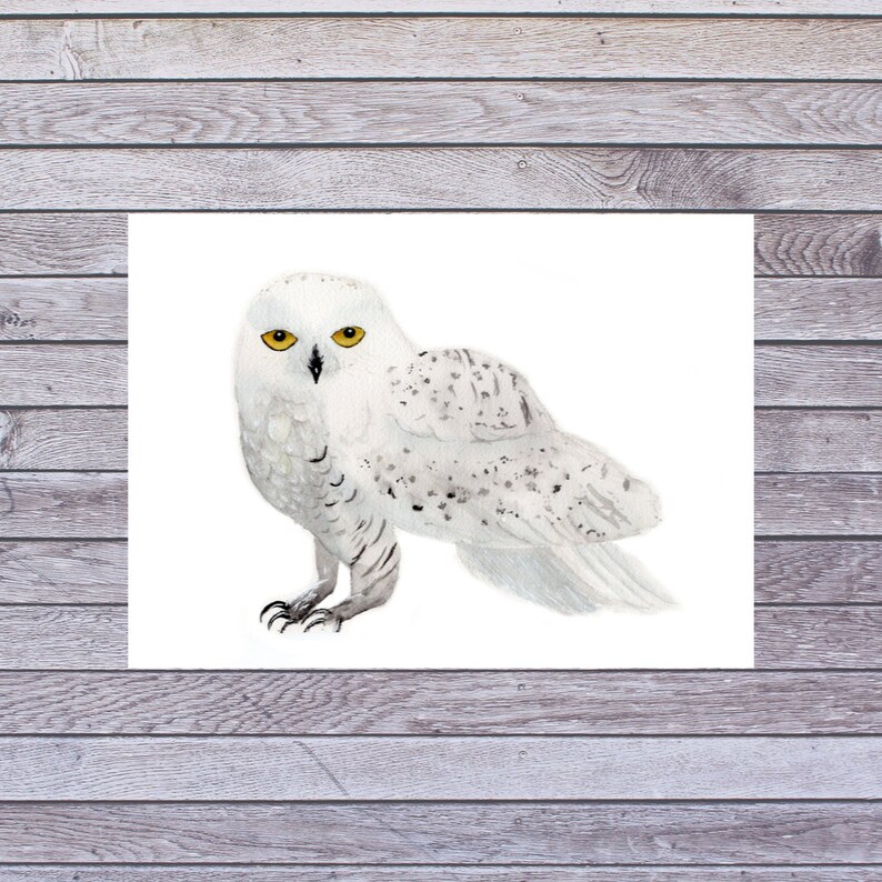 Hedwig Harry Potter Decor Harry Potter Printable Wall Art | Etsy