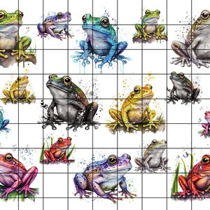 Rainbow Colored Frogs Full Color Transparency Resin Inclusion, No ...