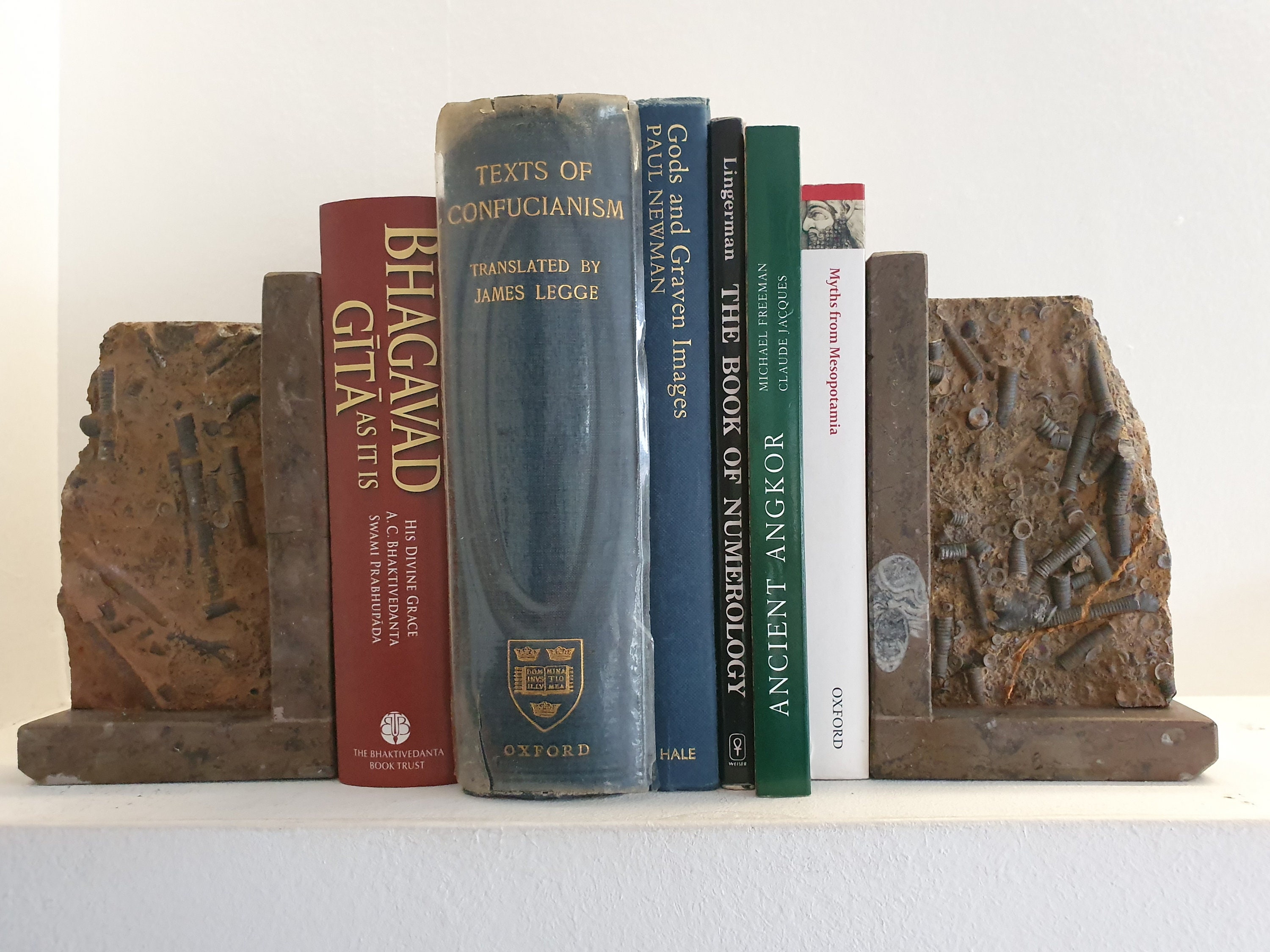 Crinoid Fossil Bookends - Etsy