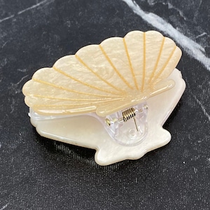 Middle Size Seashell Hair Clip Claw Light Colors Set 1, Mini Seashell ...
