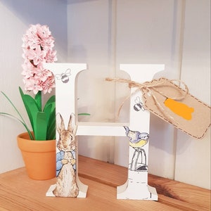 Peter Rabbit Free Standing Wooden Letters & Numbers Baby - Etsy