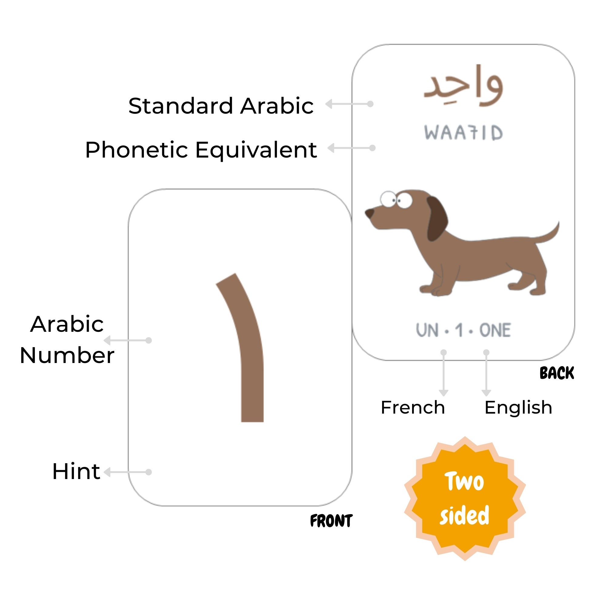 Arabic - Arabic Numbers Flashcards - Arabic for Kids - Arabic ...