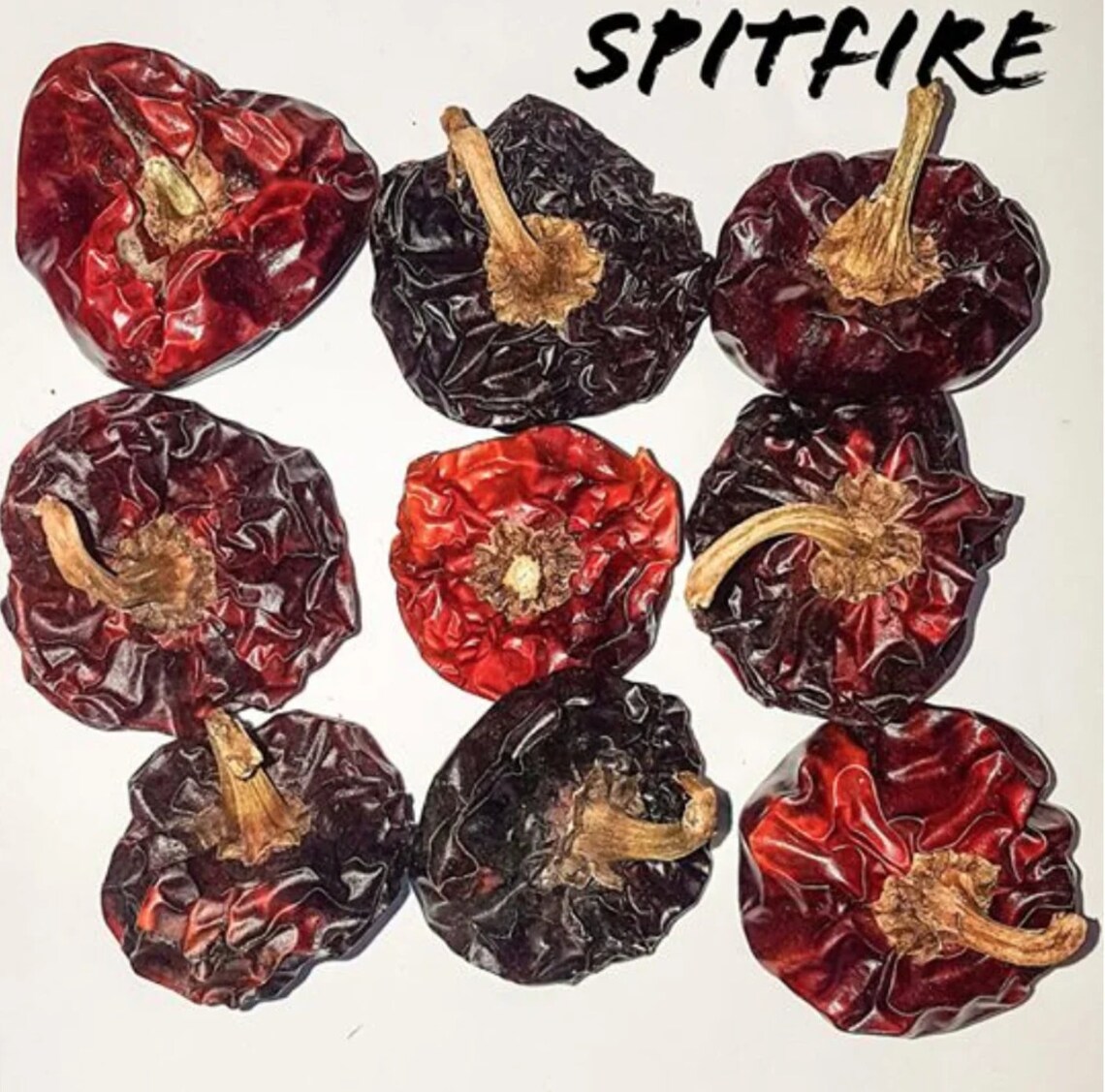 Ñora pepper seeds | Etsy