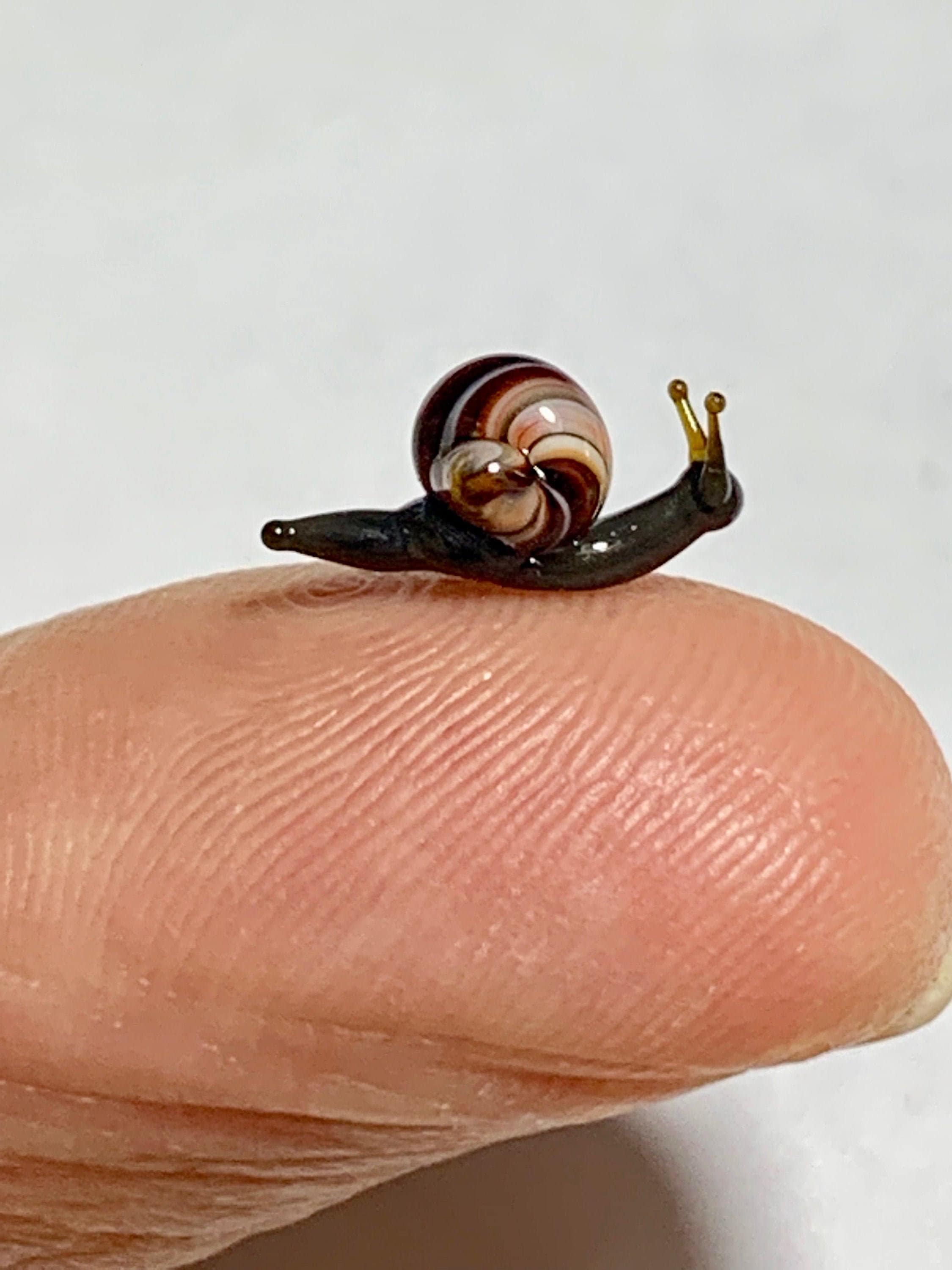 Real Miniature Animals