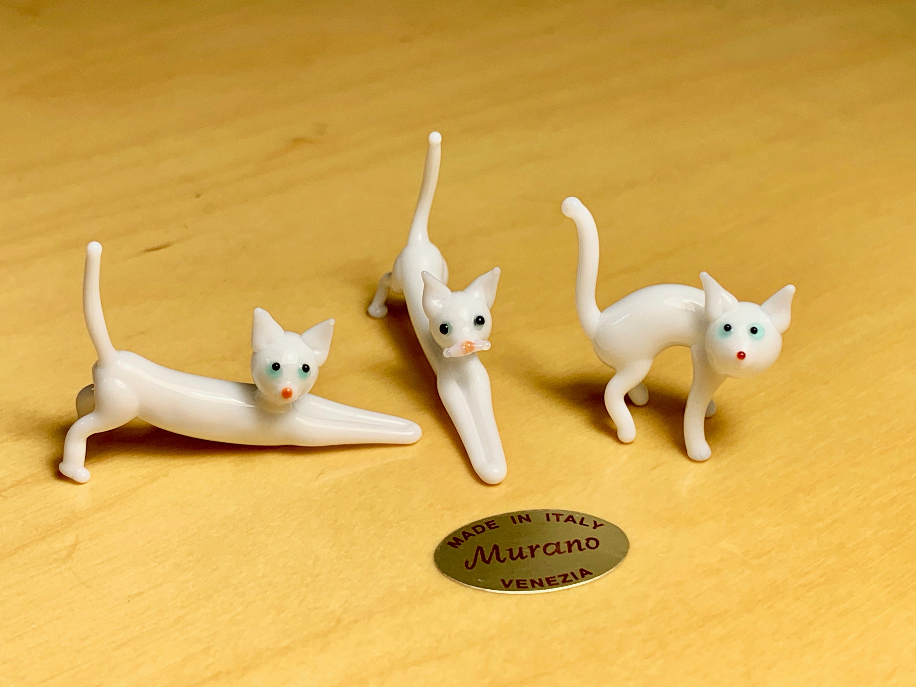 Three Cute Kittens Little Clowder of White Cats Tiny - Etsy