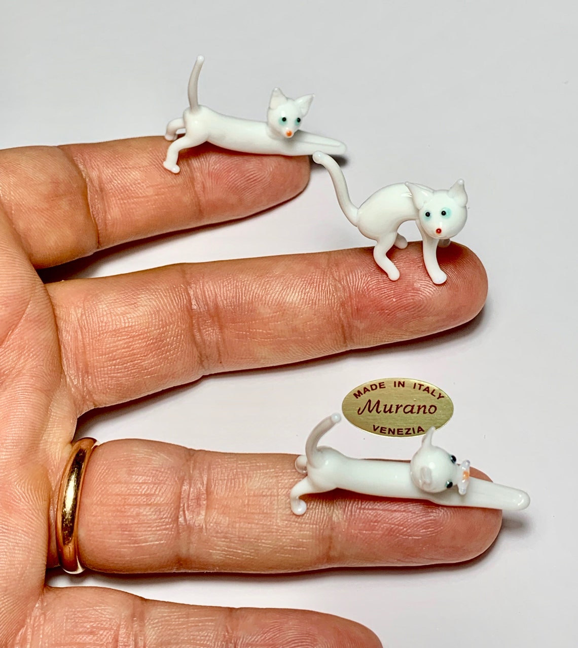 Three Cute Kittens Little Clowder of White Cats Tiny | Etsy