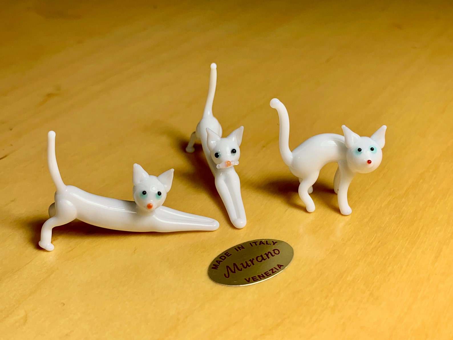 Three Cute Kittens Little Clowder of White Cats Tiny | Etsy
