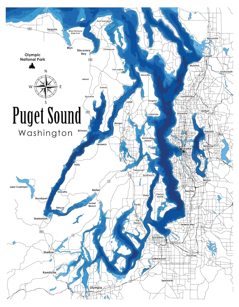 Digital File Pdf Svg Puget Sound Map Wood Bathymetric Map Etsy
