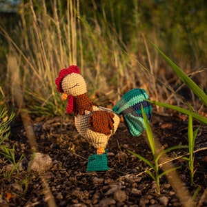 Rooster Amigurumi Pattern, Bird Crochet Pattern, Chicken Amigurumi PDF ...