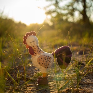 Rooster Amigurumi Pattern, Bird Crochet Pattern, Chicken Amigurumi PDF ...