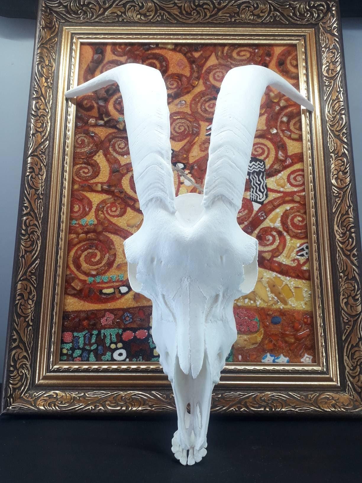 Goat Skull Replica | Any Color Goat Skull Copy | High Quality Replica ...