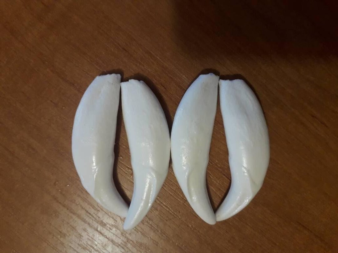 Replica Wolf Canines. Set of 4 Fangs. High Detail, High-quality Plastic ...
