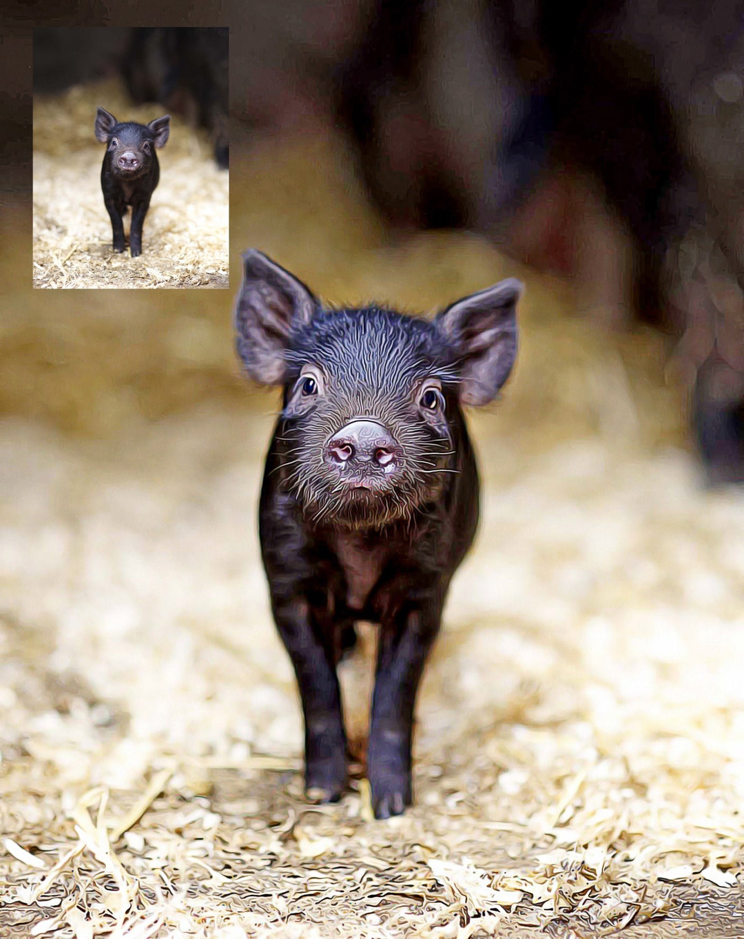 Custom Farm Animal Painting, Farm Animal Prints, Horse Art, Pig ...