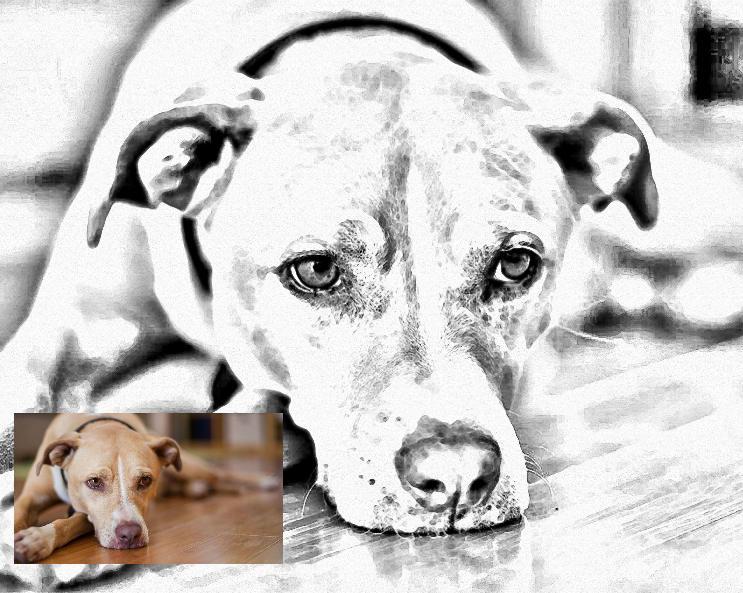 Custom Dog Drawings Personalized Dog Portrait Custom Dog | Etsy